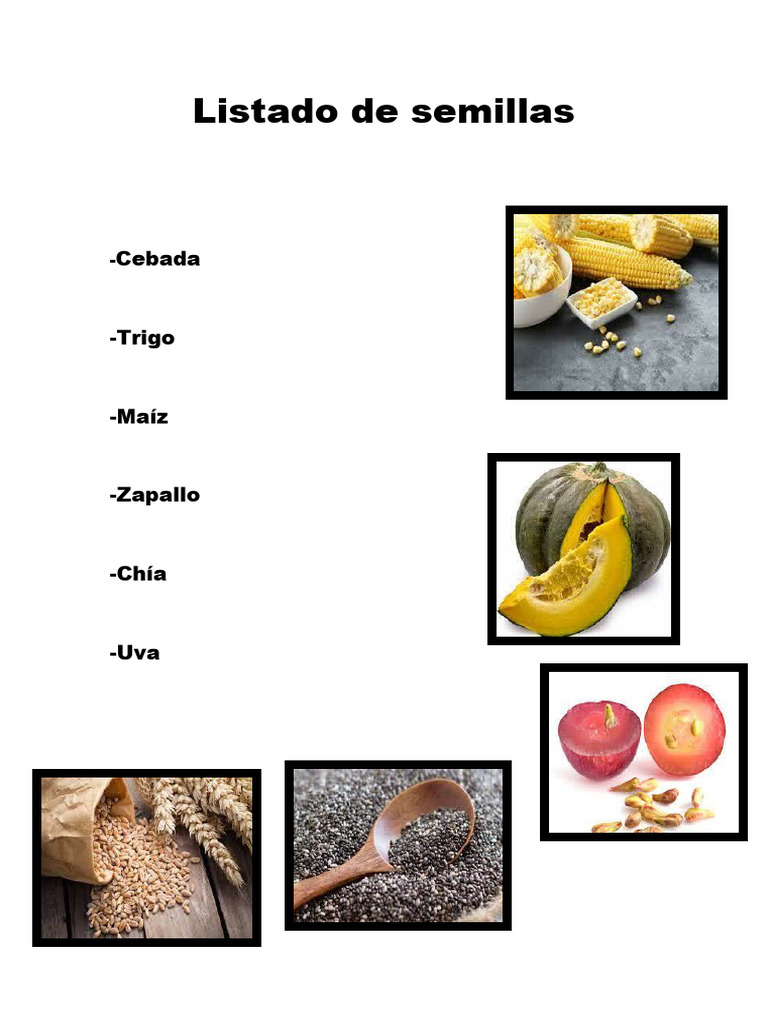 Listado de Semillas | PDF
