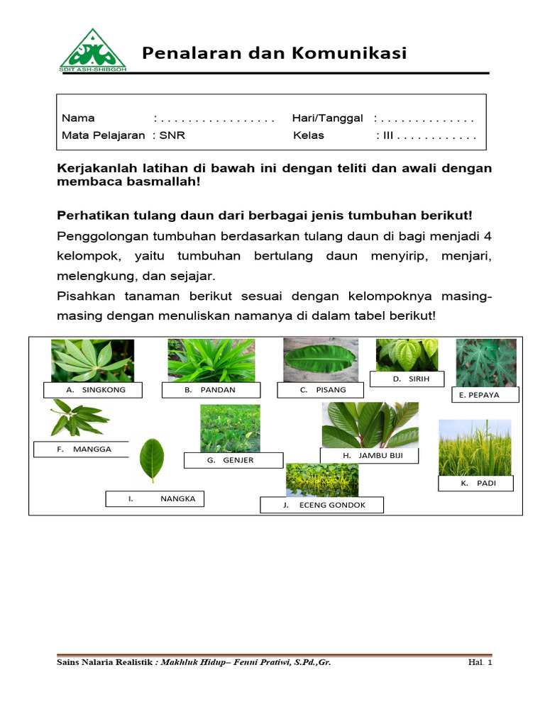 LKPD-Penalaran Dan Komunikasi (Pengelompokkan Tumbuhan Berdasrkan Tulang Daun) | PDF