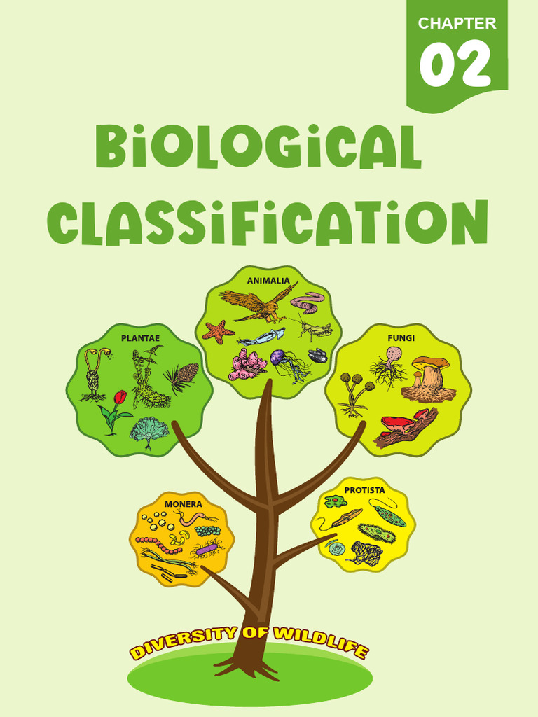Biological Classification Pdf Fungus Spore