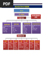 BDRRMC Structure | PDF | Security | Prevention