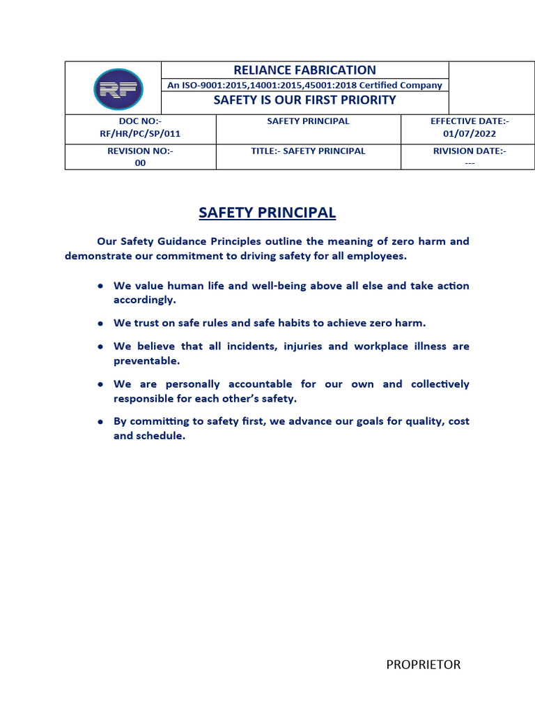 Safety Principles | PDF
