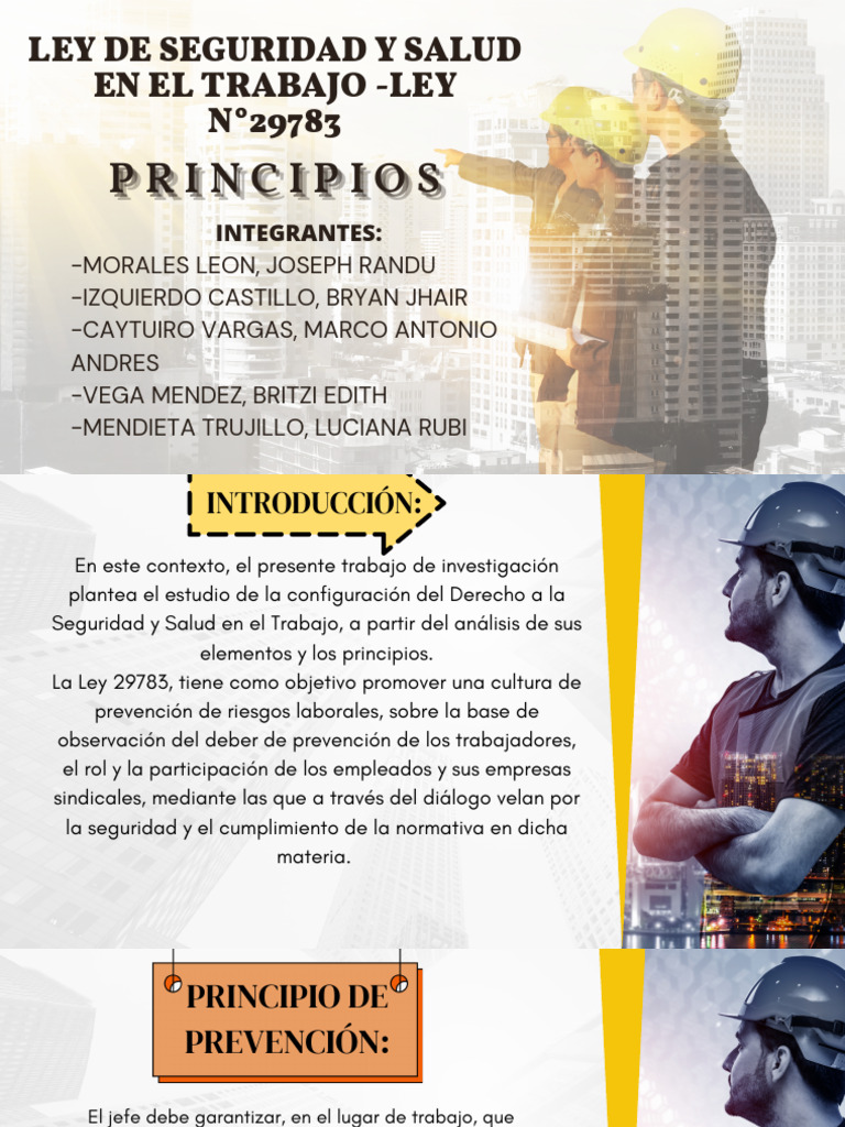 Ley de Seguridad y Salud en El Trabajo - Ley N°29783 | PDF | Valores | Agua