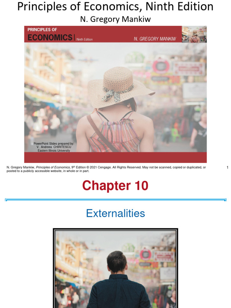 Chapter 10 Externalities | PDF
