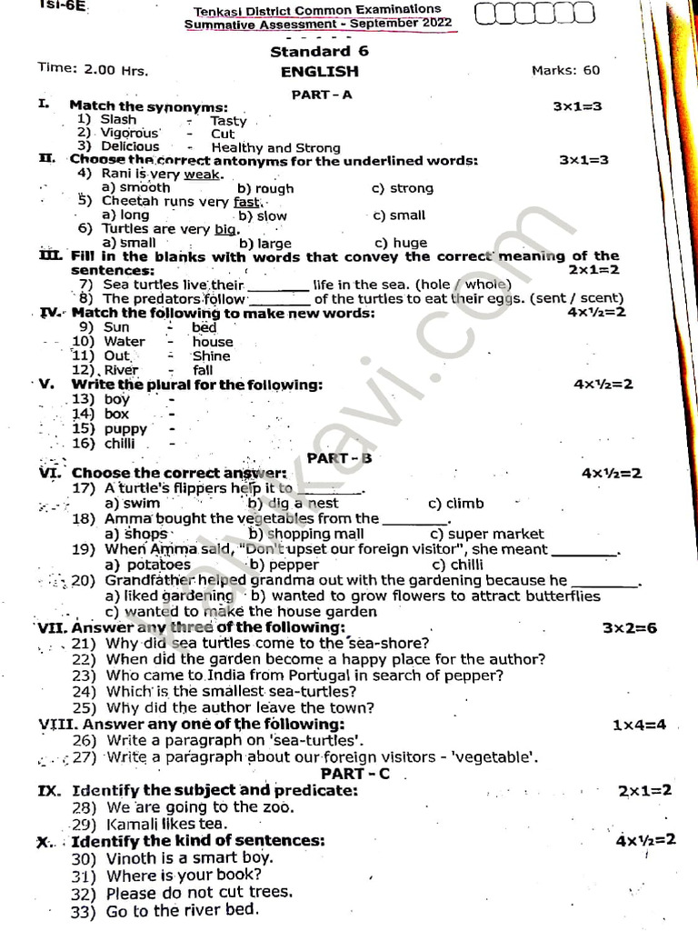6th English Term 1 Exam 2022 Original | PDF