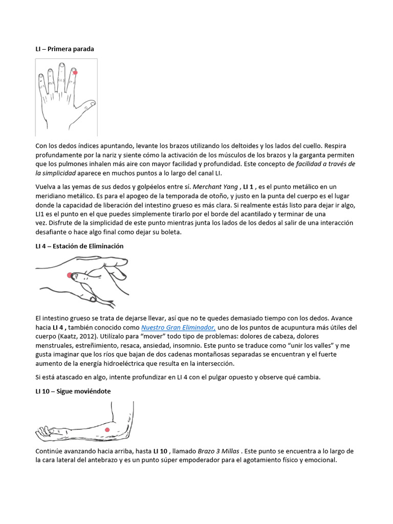 Intestino Grueso Meridiano | PDF