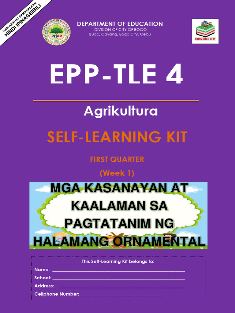 Epp 4 - A.F.A. Module 1 Week-1 and 2 (Bogo Div Group) | PDF