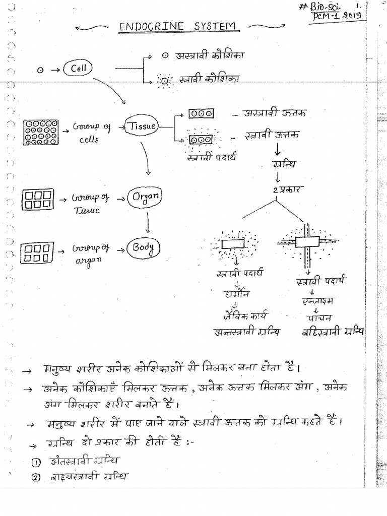Biology Notes Kajal Mam | PDF