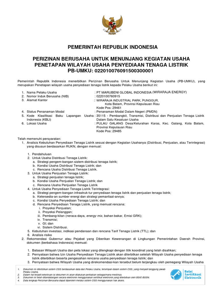 Penetapan Wilayah Usaha Listrik Wilus | PDF