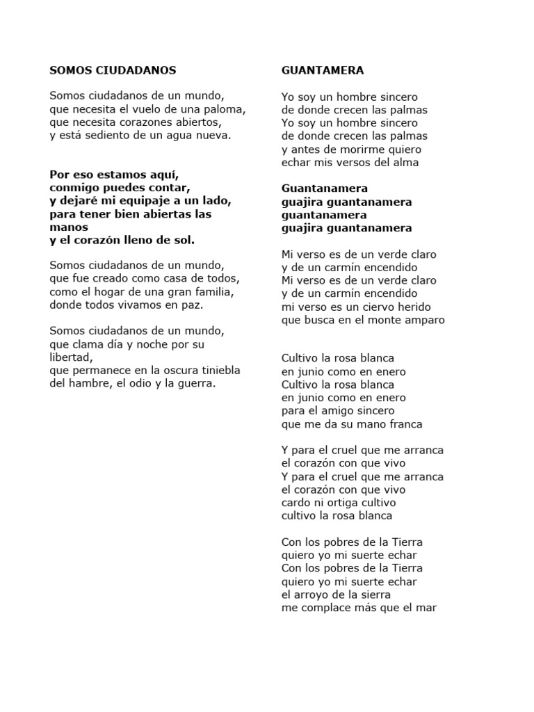 Somos Ciudadanos | PDF