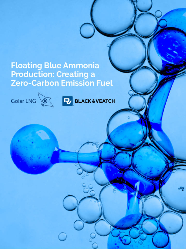 Blue Ammonia: Key to Zero-Carbon Energy | PDF | Low Carbon Economy ...
