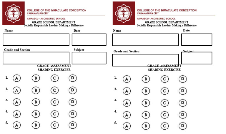 Grace Assessment Shading Exercise | PDF