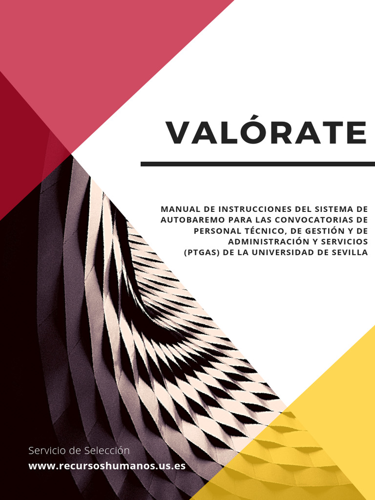 Valorate Manual de Autobaremo Aux y Est N Ltimo | PDF | Archivo de computadora