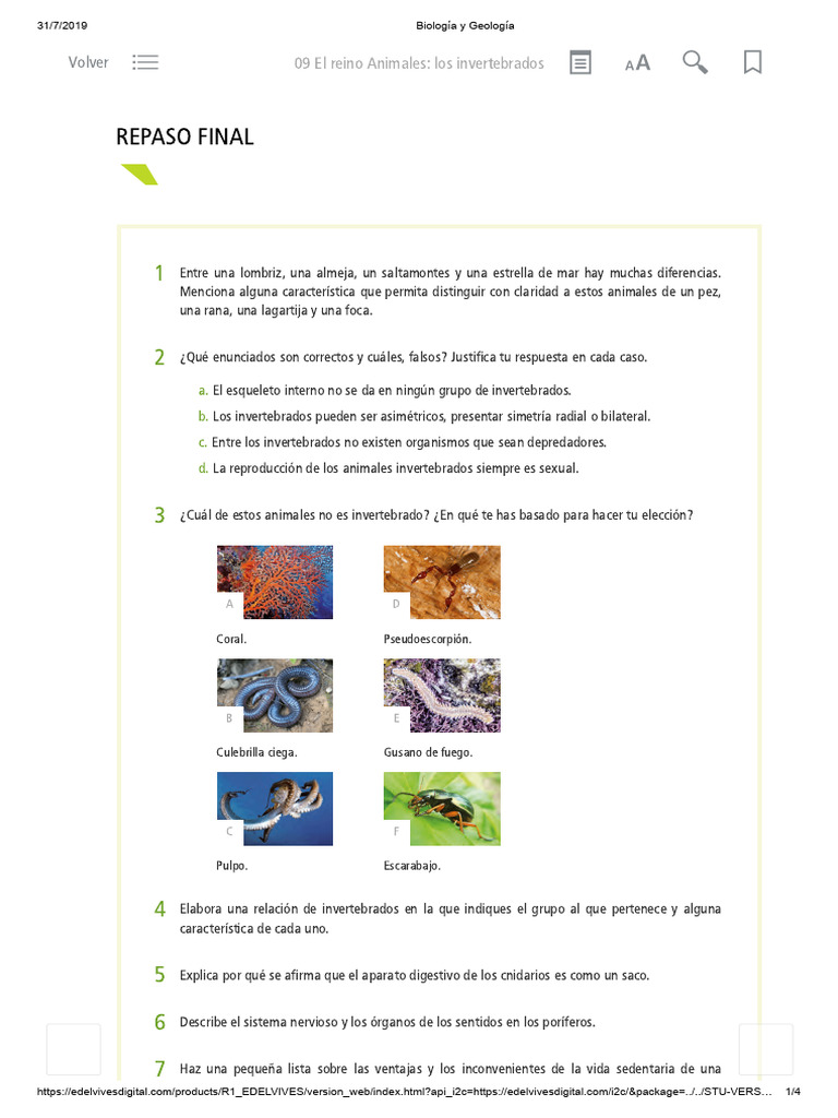 U9.12.Repaso Final | PDF | Insectos | Invertebrado