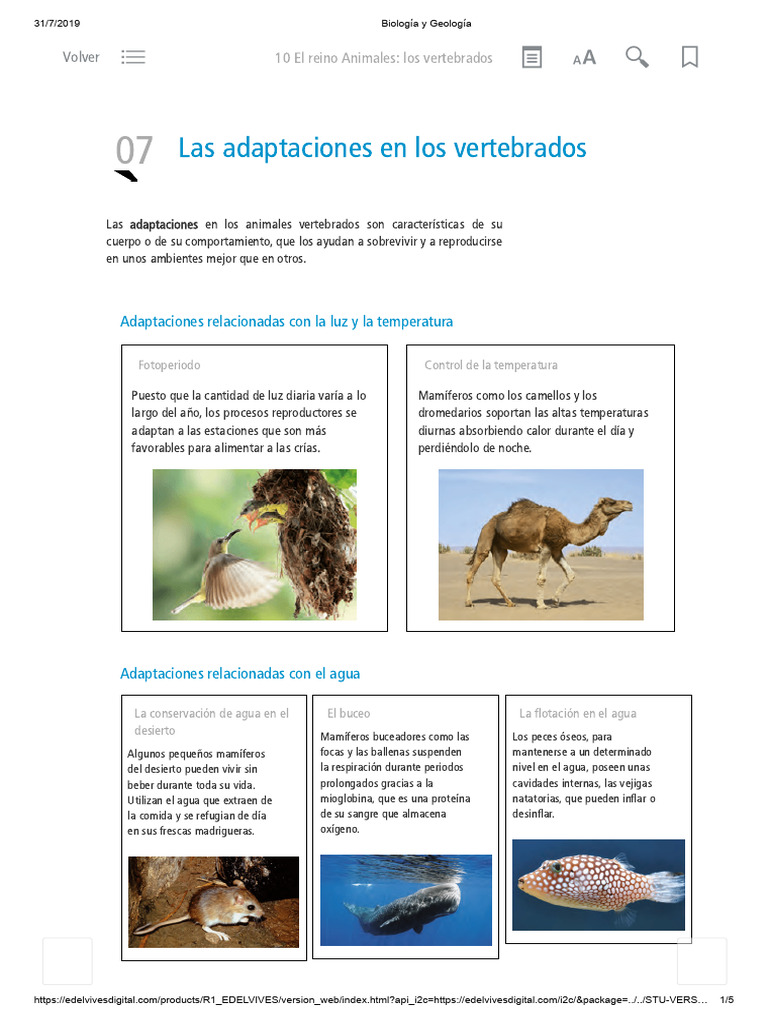 U10.7.Las Adaptaciones en Los Vertebrados | PDF | Mamíferos | Depredación