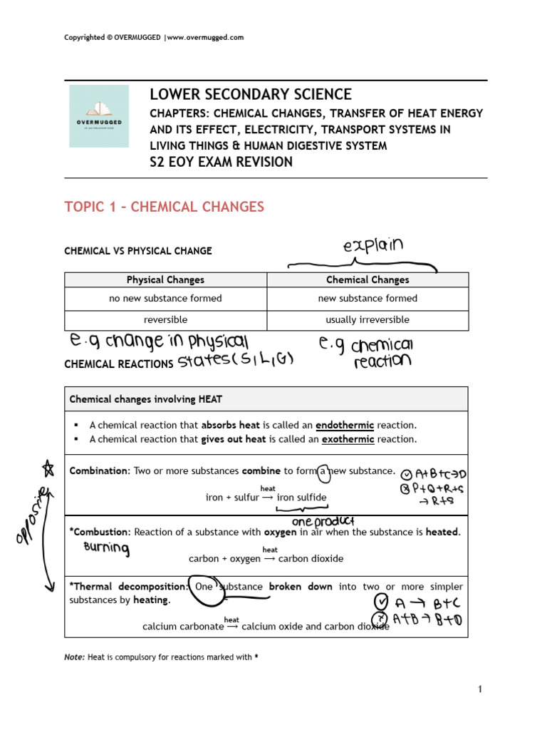 OVERMUGGED 2023 Sec 2 Science - Worksheet (Question) | PDF | Digestion ...