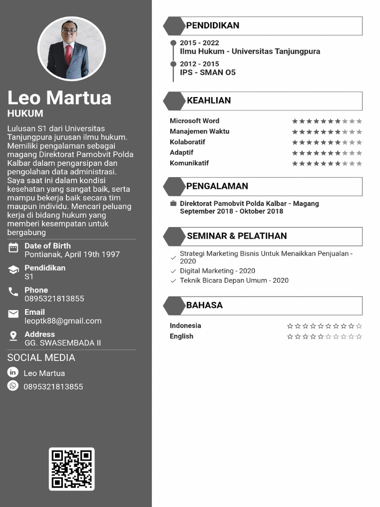 Curriculum Vitae Leo | PDF