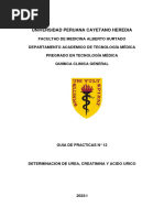 CALCULO DE UREA A PARTIR DE BUN y de BUN A PARTIR DE UREA | PDF