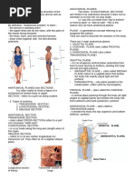 Topographic Anatomy Overview | PDF | Anatomical Terms Of Motion ...