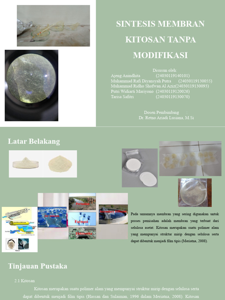 Sintesis Membran Kitosan Tanpa Modifikasi | PDF
