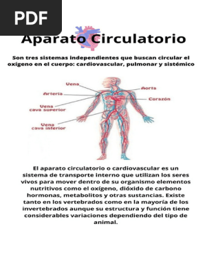 Aparato Circulatorio