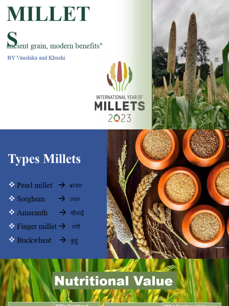 MILLETS | PDF | Dietary Fiber | Diet & Nutrition