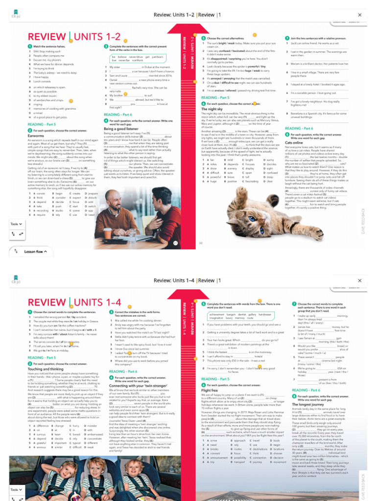 Review Formula B1 | PDF