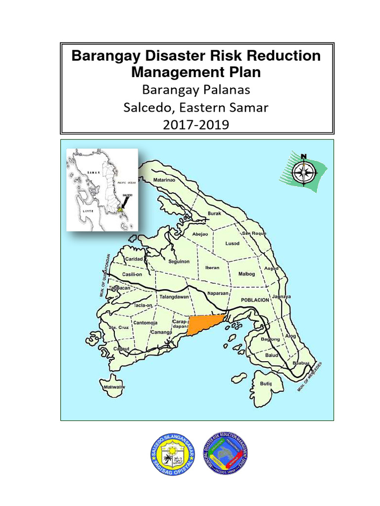 Barangay Palanas Disaster Management Plan | PDF | Taxes | Sanitation