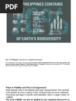 Endangered Species in the Philippines | PDF | Endangered Species ...