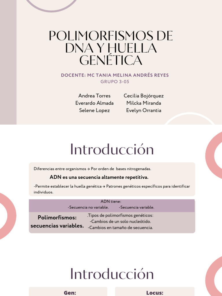 Tipos de Polimorfismos | PDF | Microsatélite | Polimorfismo de nucleótido simple