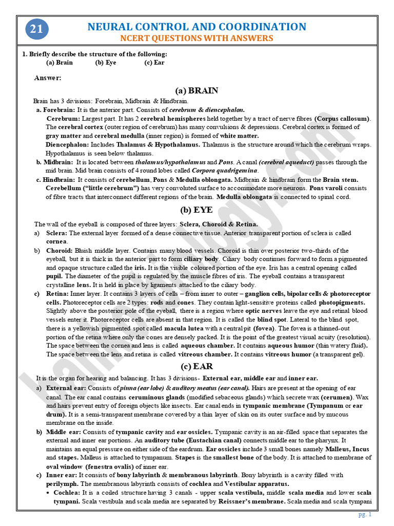 Neural Control: NCERT Q&A Guide | PDF | Chemical Synapse | Ear