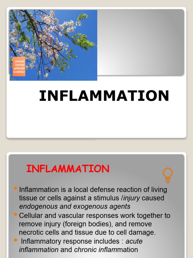 Inflammation - Oral Maxillofacial Pathology - IUP | PDF | Inflammation ...