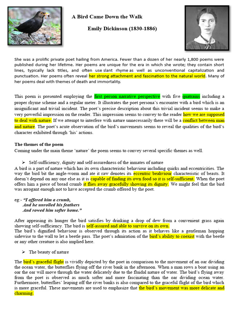 A Bird Came down the Walk ... | PDF | Poetry | Metre (Poetry)