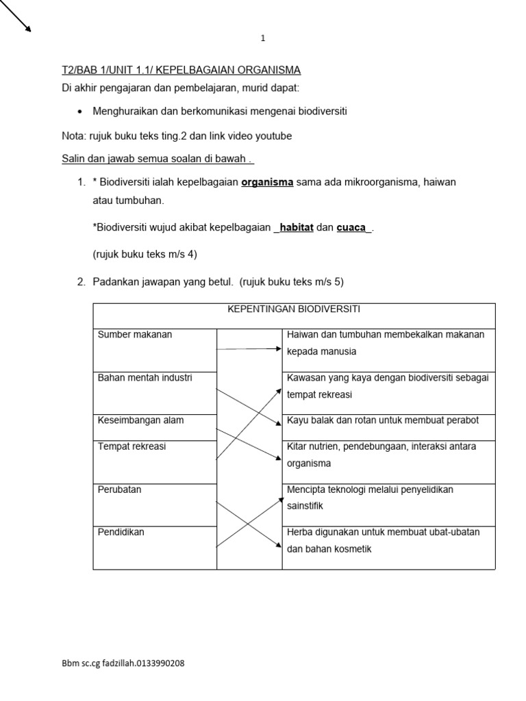 Modul Sains Ting.2.jawapan | PDF