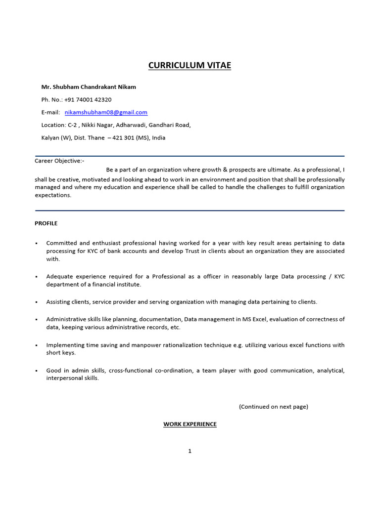 Scn Shubham Pdf Microsoft Excel Computing
