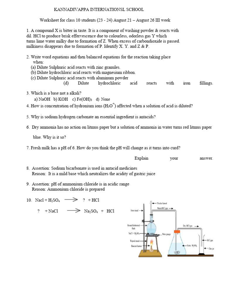 Class 10 Worksheet | PDF