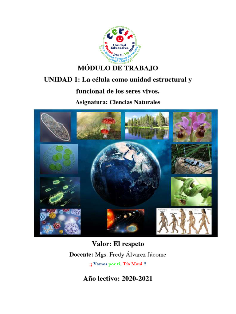 Modulo Octavo | PDF | Biología Celular) | Organismos