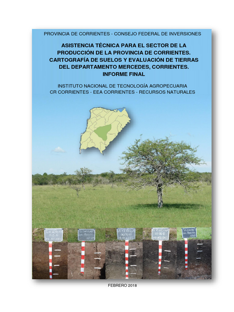 Informe Final Mapa de Suelos Mercedes | PDF | Cartografía | Mapa