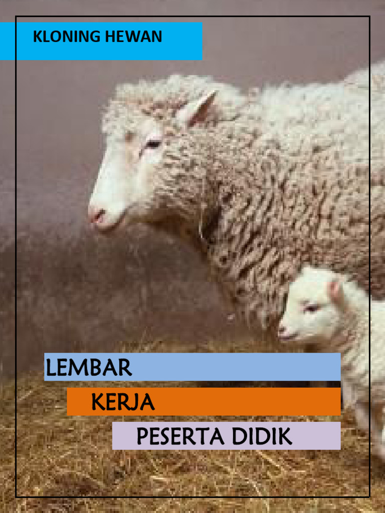 Kloning Domba Dolly: Prinsip dan Dampak | PDF
