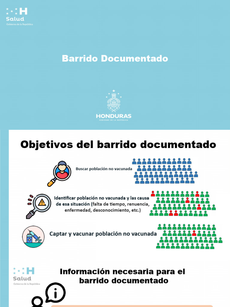 Barido Documentado | PDF | Planificación | Vacunación