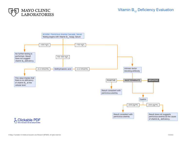 Vitamin B12 Deficiency Evaluation | Download Free PDF | Vitamin B12 ...