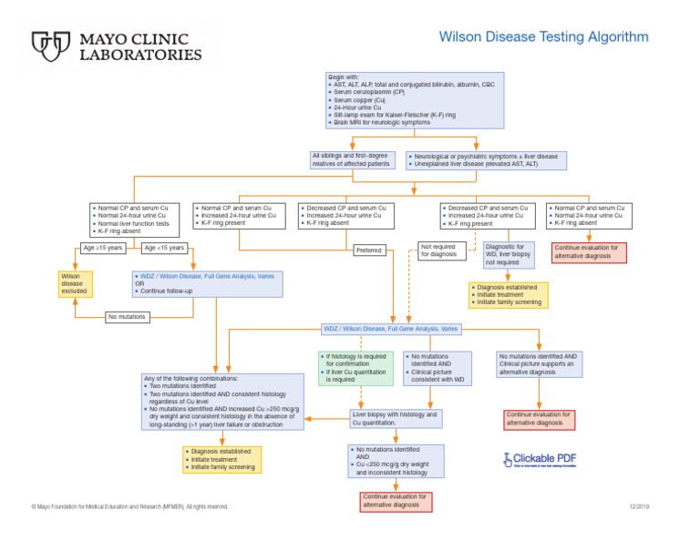 Wilson Disease Testing Algorithm | PDF | Medical Specialties | Clinical ...