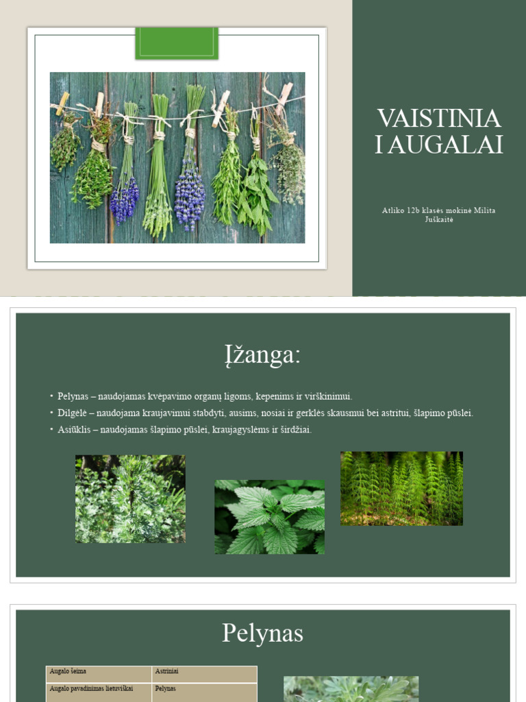Vaistiniai Augalai | PDF