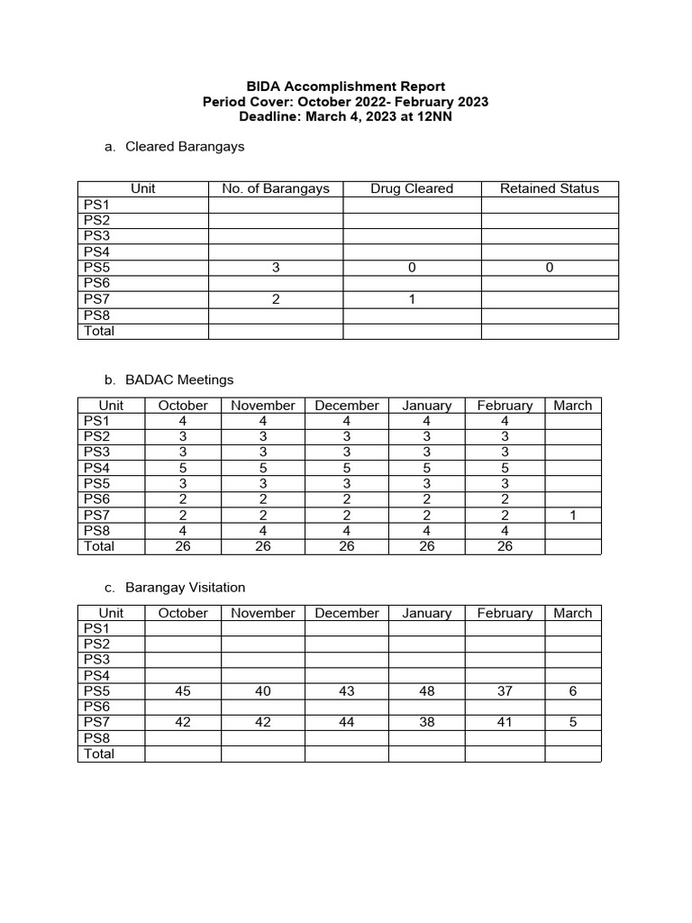 BIDA Accomplishment Report Summary | PDF