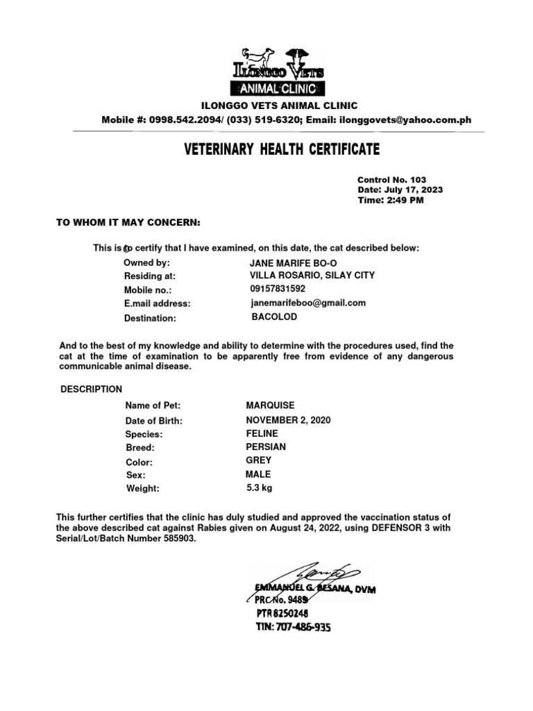 Veterinary Health Certificate: Road 5, Don Julio Village, Brgy Aganan ...