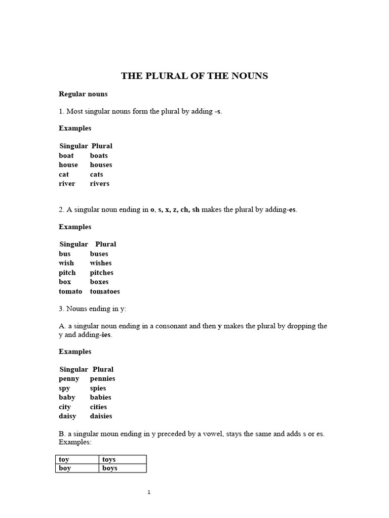 The Noun 7A Teorie | PDF | Plural