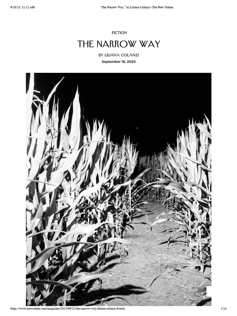 The Narrow Way by Liliana Colanzi | PDF | Mystery, Thriller & Crime Fiction