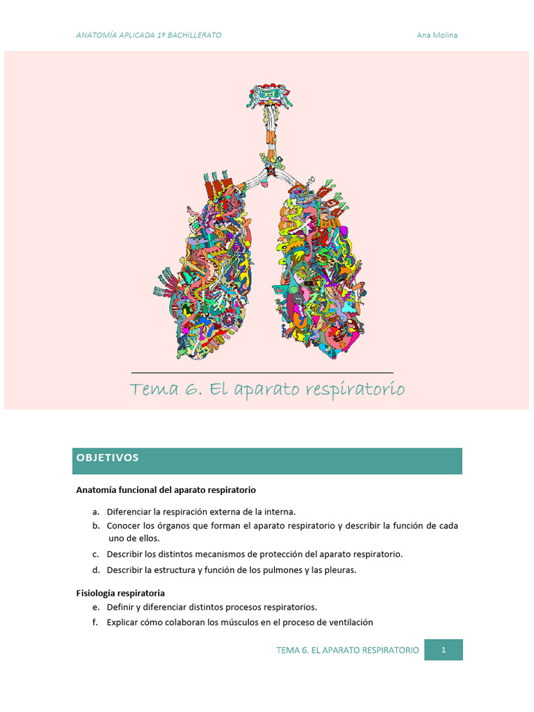 Anat 06. Respiratorio - Tema | PDF | Pulmón | Sistema respiratorio