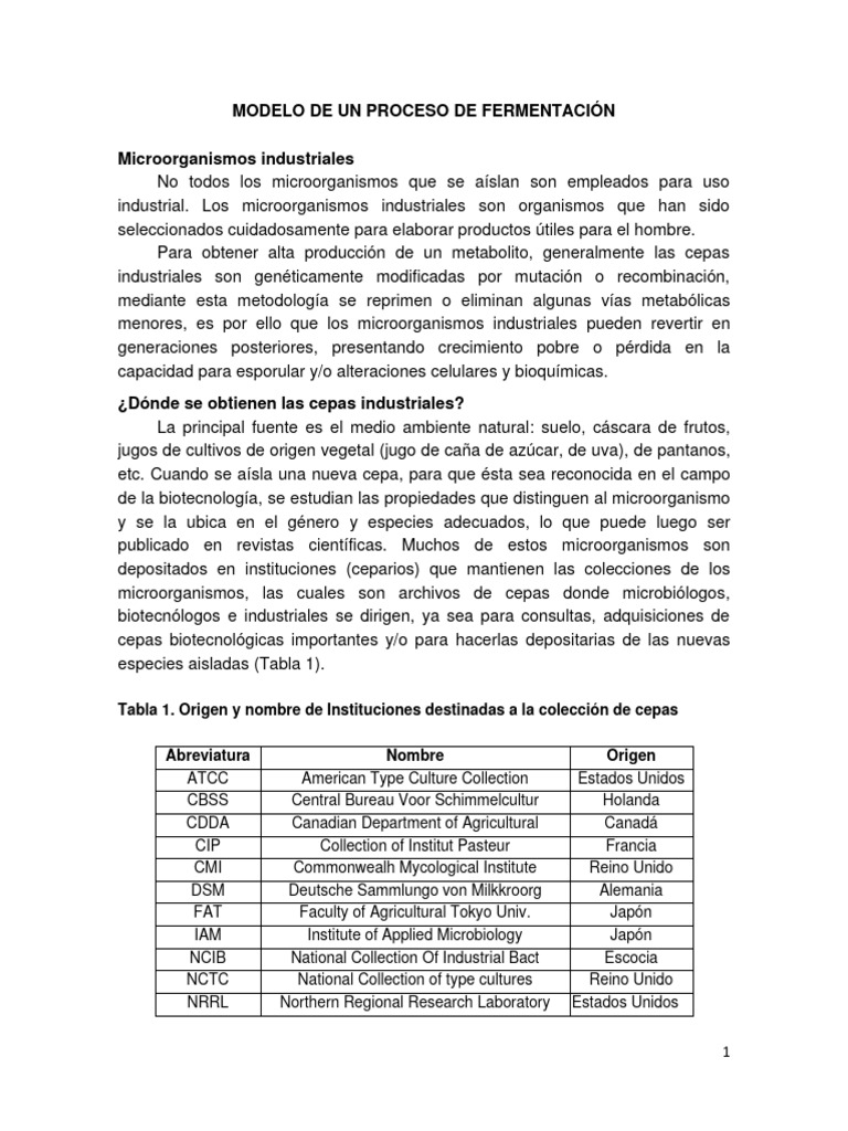 Unidad 8 Procesos Fermentativos | PDF | Fermentación | Metabolismo