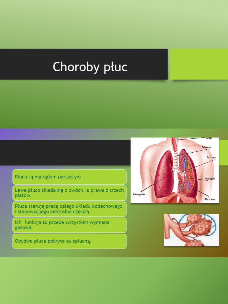 Choroby Płuc | PDF