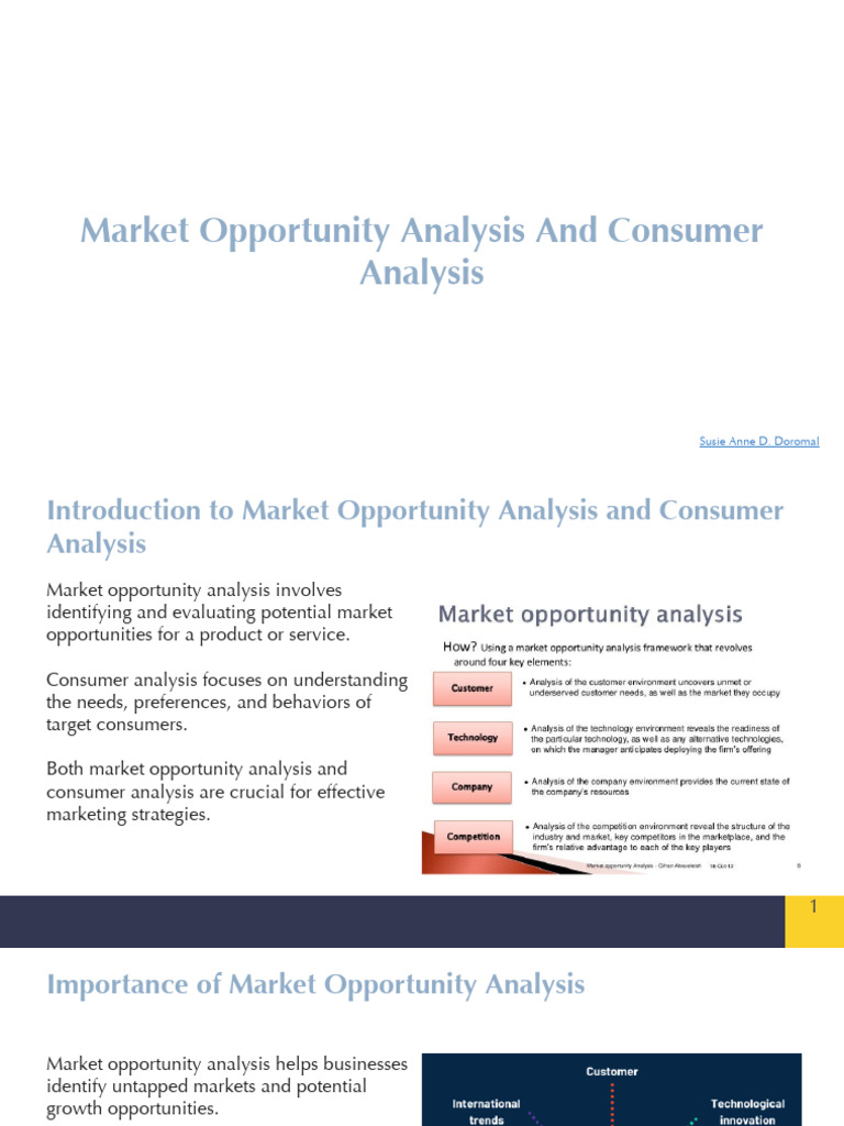 Market Opportunity and Consumer Insights | PDF | Market Analysis ...